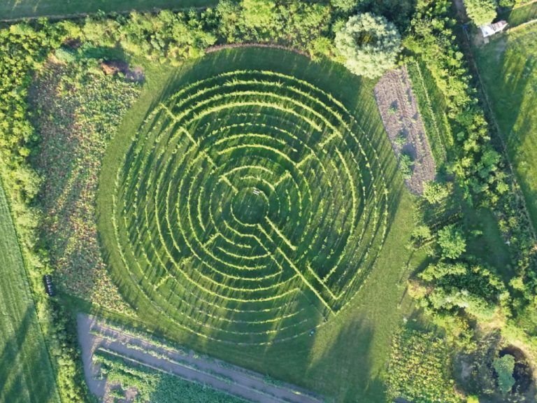 Druiven labyrint - Winery & Herbs - Schijndel, Noord Brabant